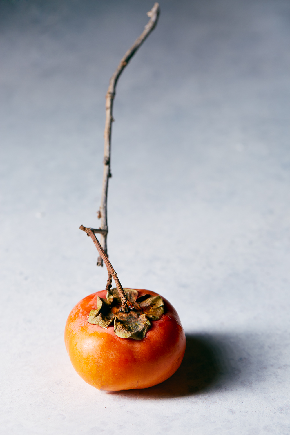 Spiced Persimmon Bourbon Cocktail (When You Wish Upon a Star)